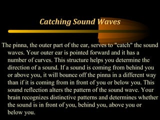 What is sound | PPT