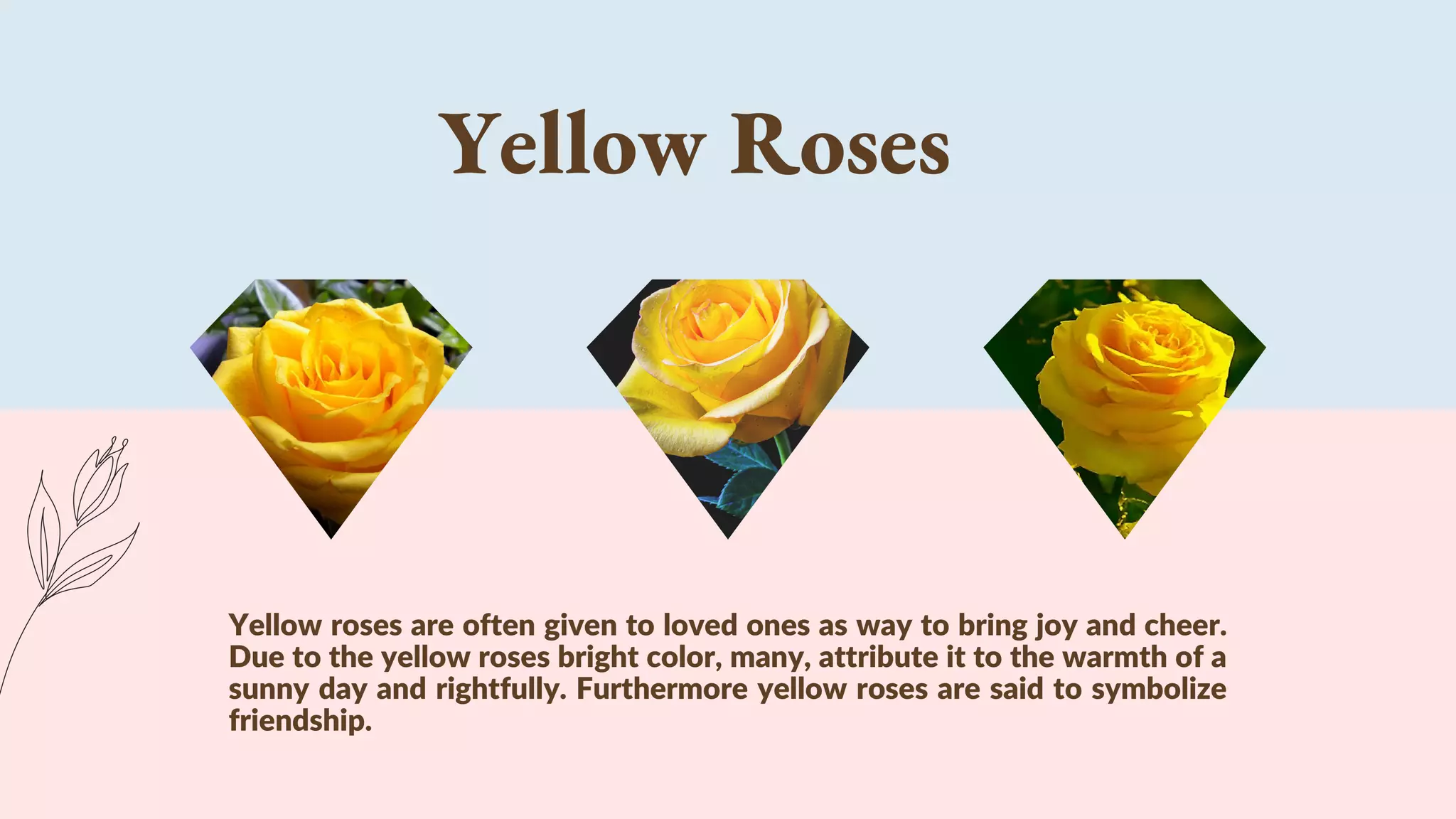 What is special about Roses.pdf
