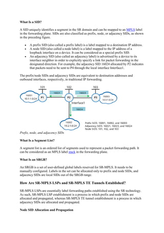 Technology Tutorial and the basics of What Is SR MPLS | PDF