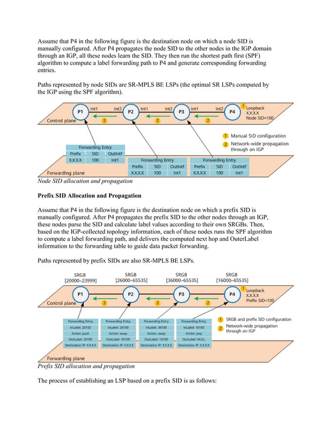 Technology Tutorial and the basics of What Is SR MPLS | PDF