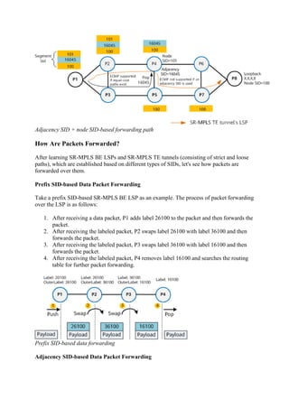 Technology Tutorial and the basics of What Is SR MPLS | PDF