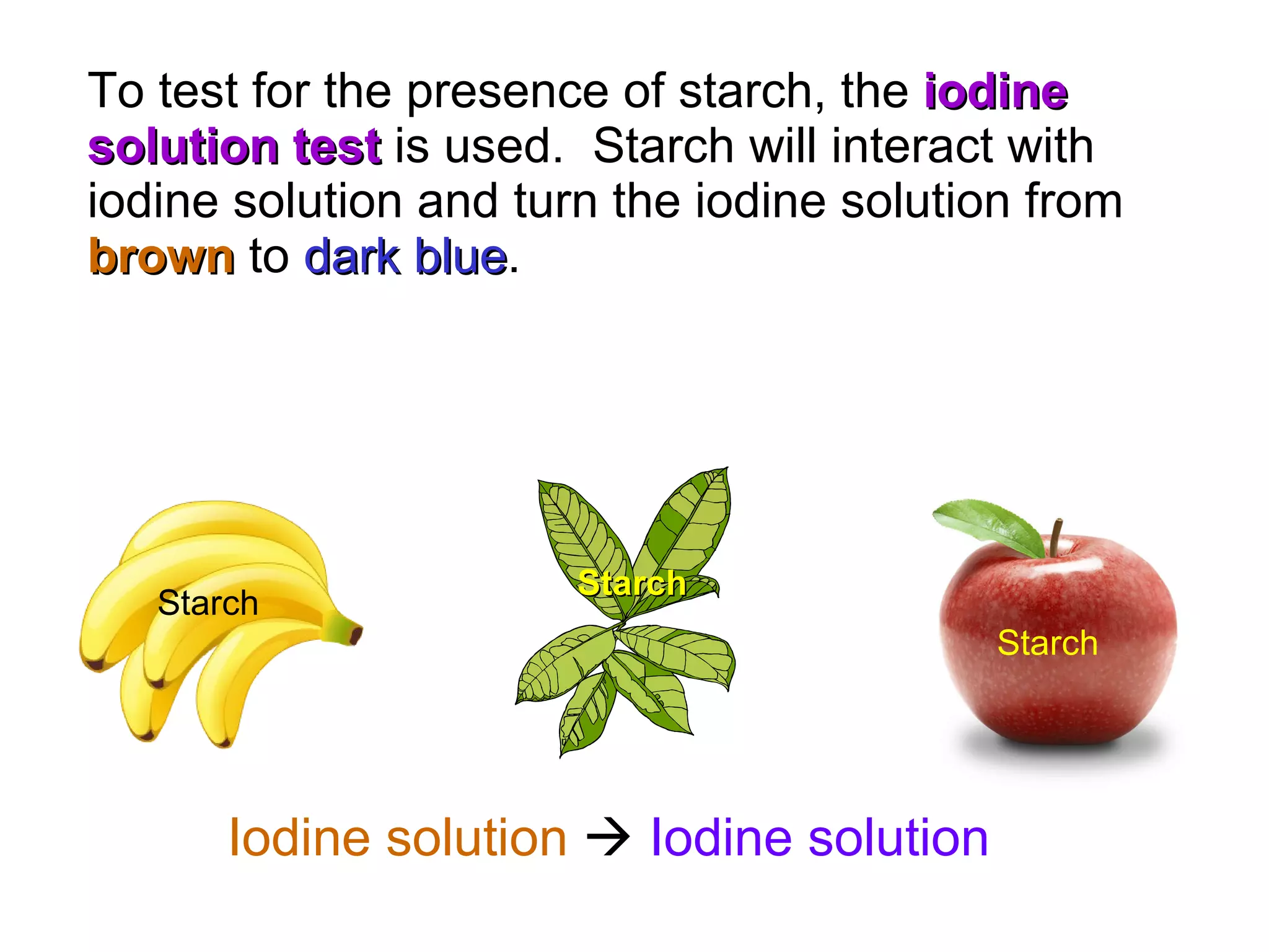 What Is Starch | PPT