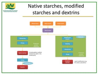What is starch | PPTX