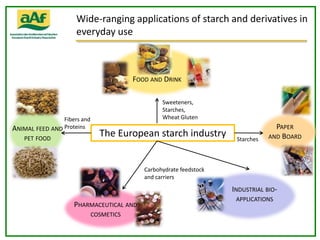 What is starch | PPT