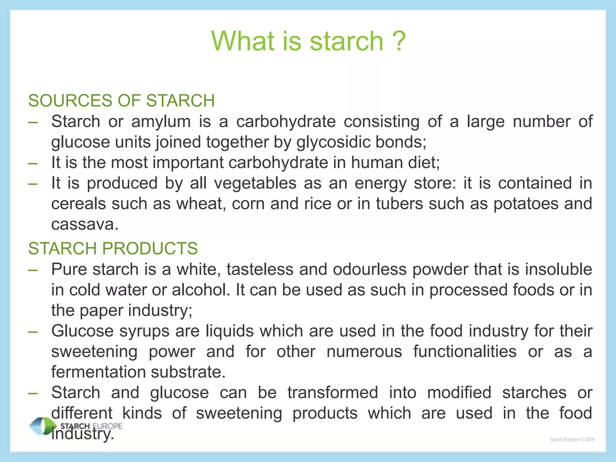 What is starch? | PPT