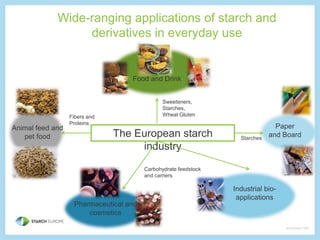 What is starch? | PPT