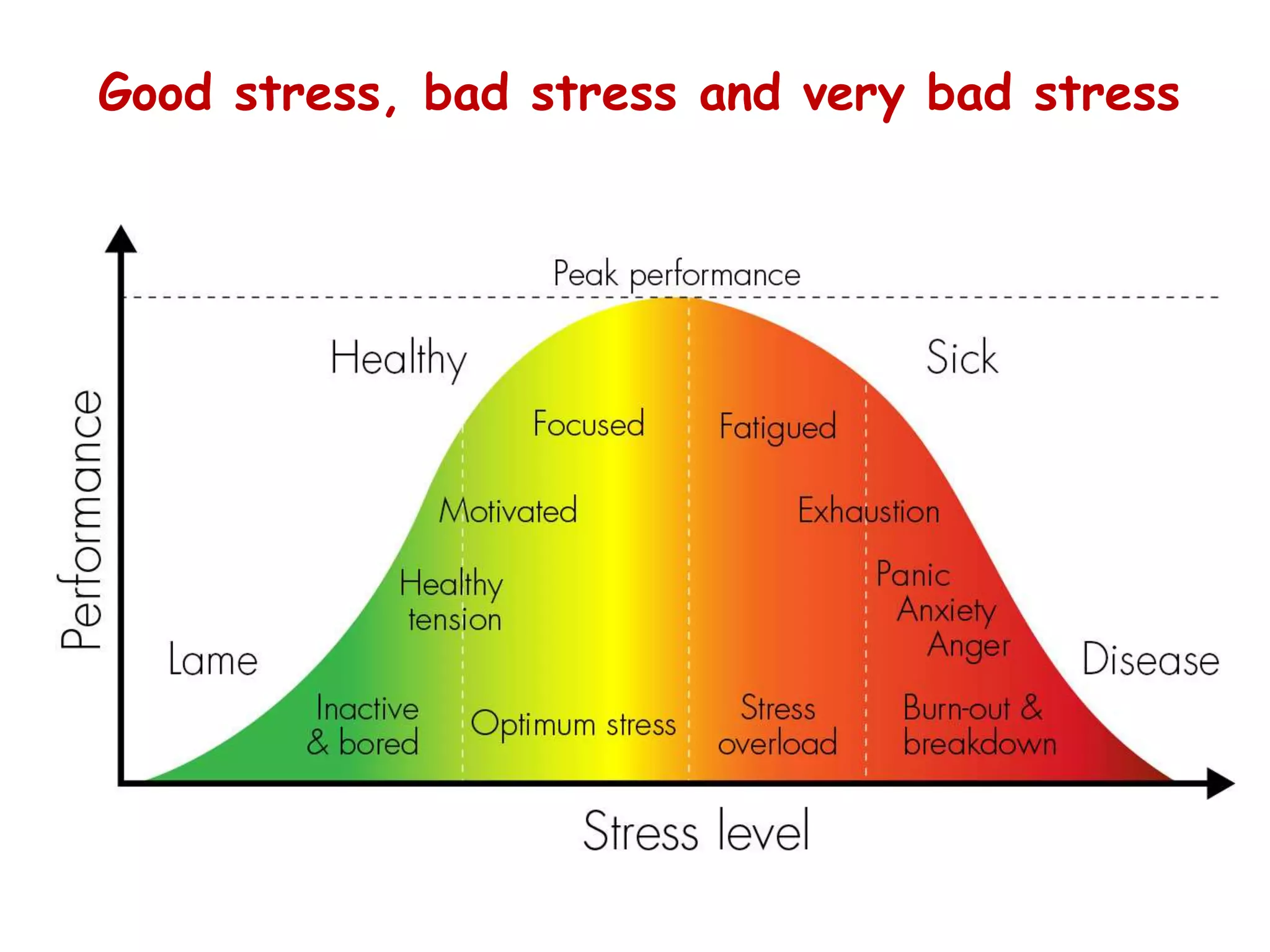 BRAINY. Stress and the Brain | PPTX