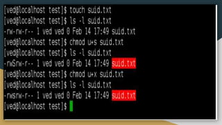 What is suid, sgid and sticky bit | PPTX