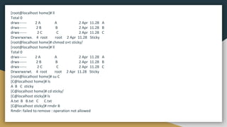 What is suid, sgid and sticky bit | PPTX
