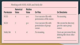 What is suid, sgid and sticky bit | PPTX