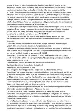 What is tanning? Overview of Leather Processing Process 2019 | PDF