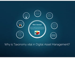 What is taxonomy? | PDF