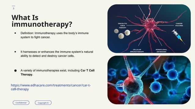 What Is T Cell Therapy For Cancer Immunotherapy Pptx