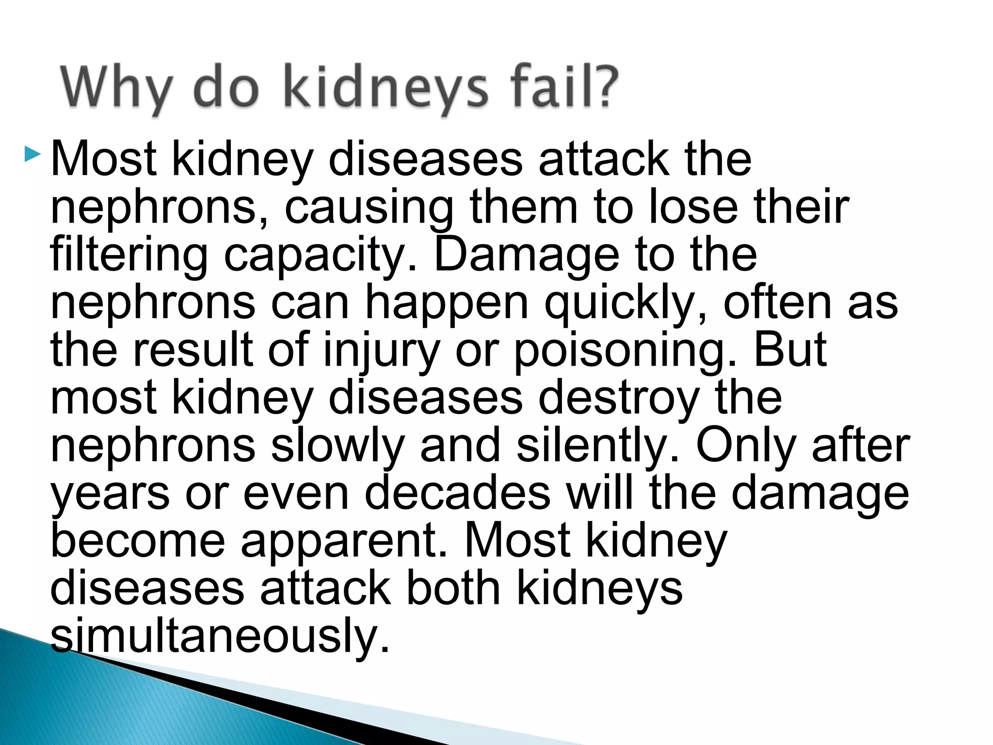 What is teh nephrology power point presentation.pptx