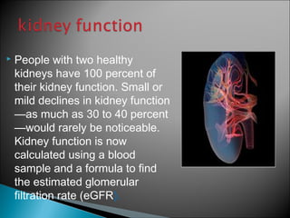 What is teh nephrology power point presentation.pptx