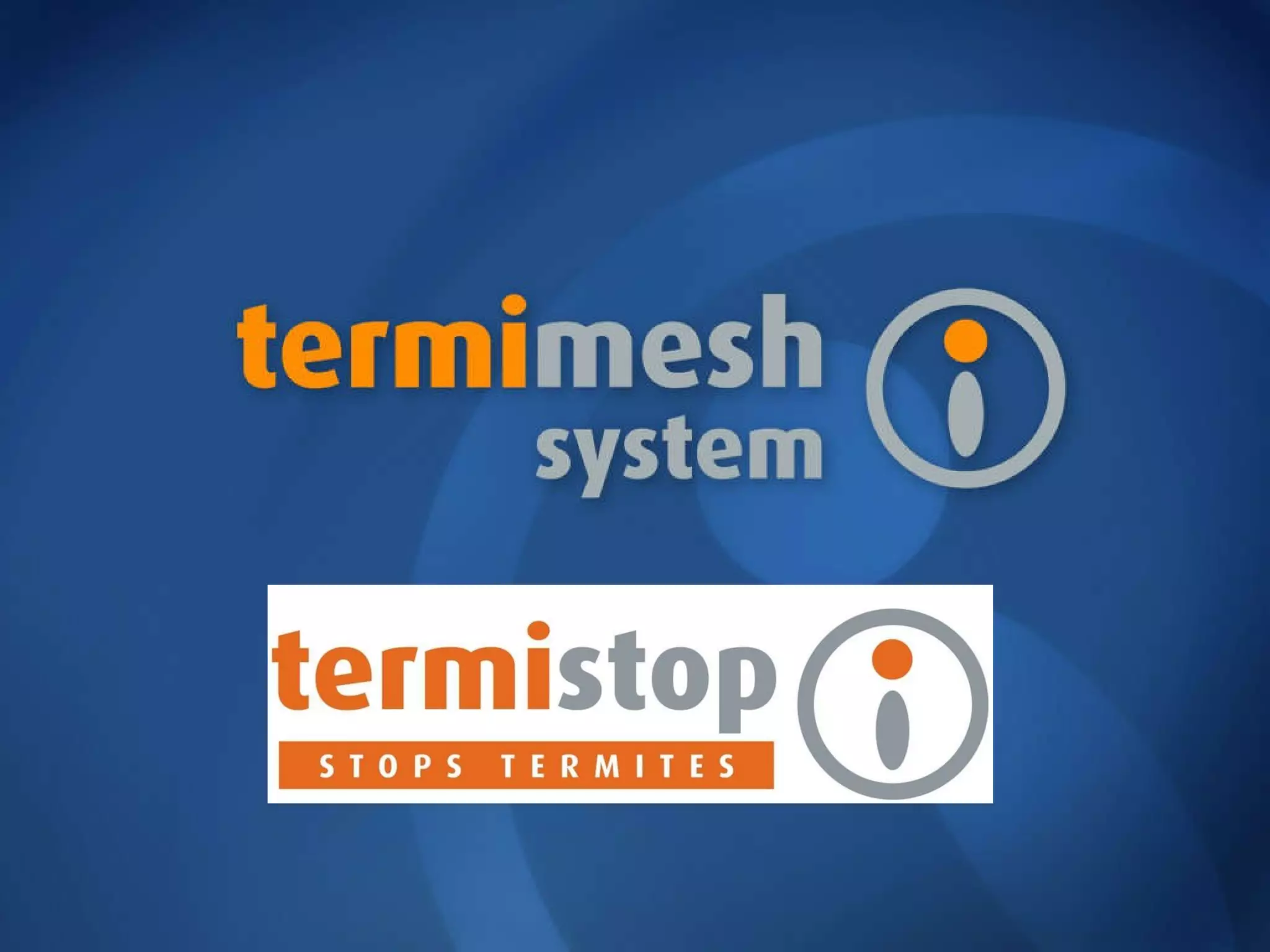 What Is Termimesh? | PPT