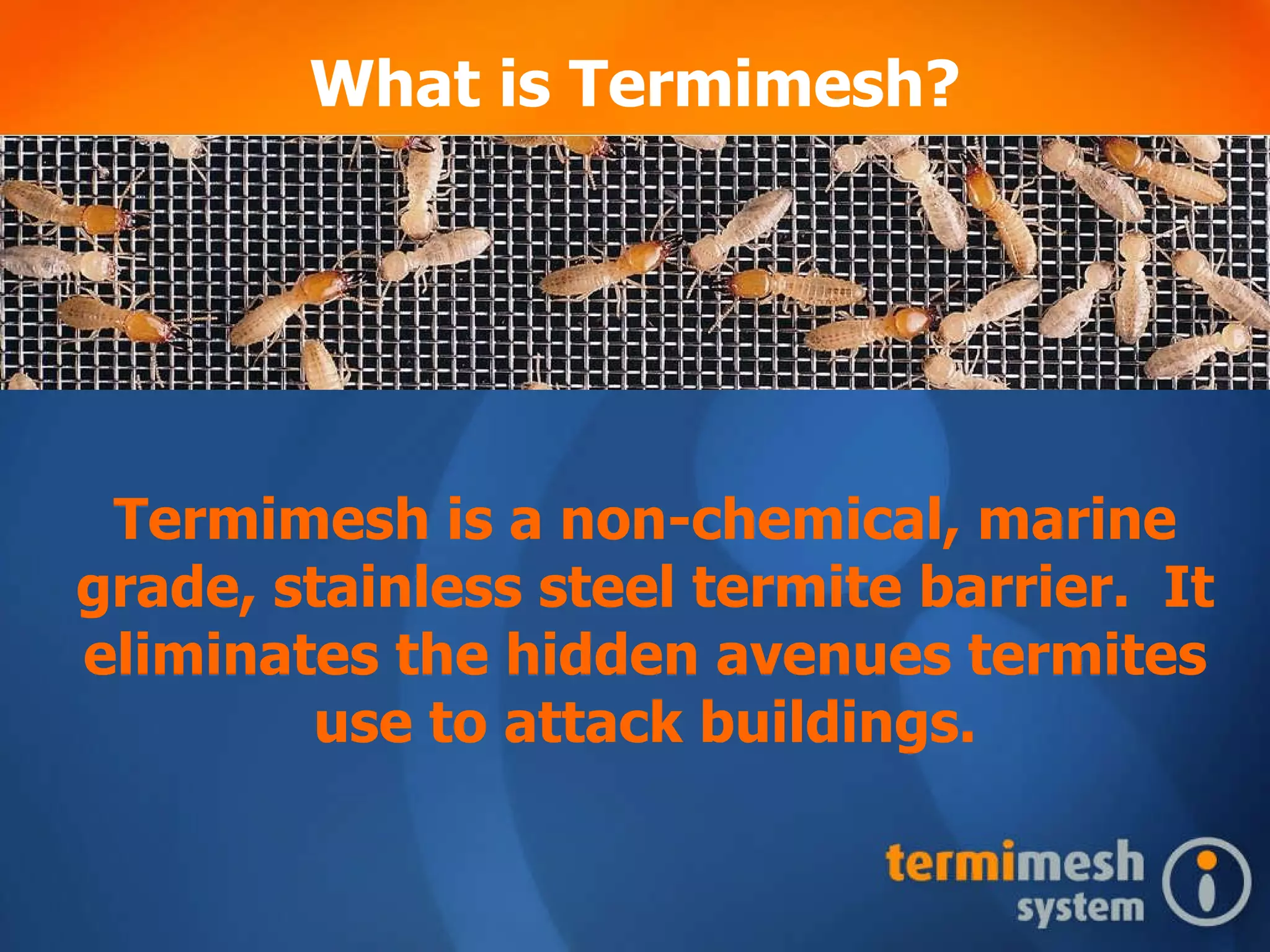 What Is Termimesh? | PPT