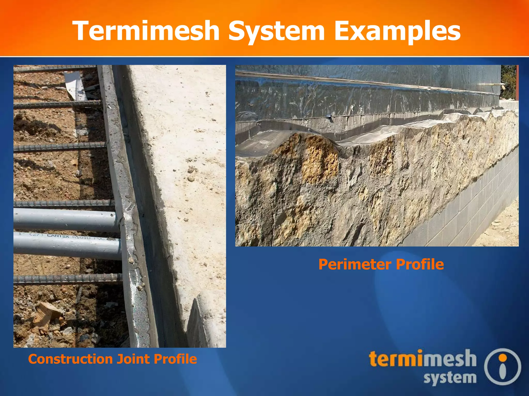 What Is Termimesh? | PPT
