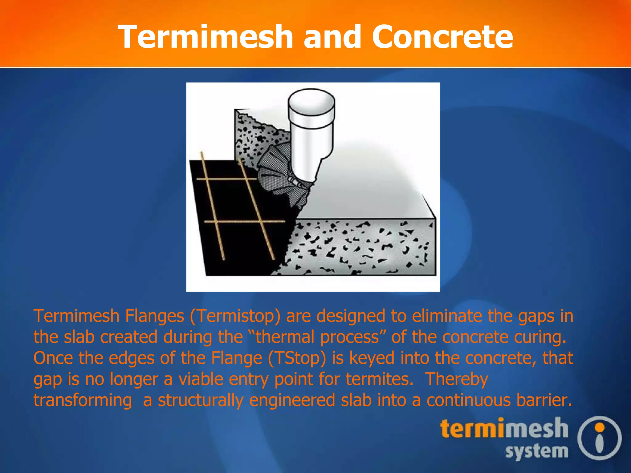 What Is Termimesh? | PPT