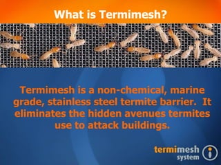 What Is Termimesh? | PPT