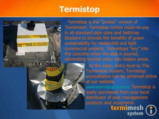 What Is Termimesh? | PPT
