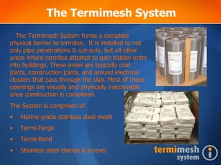 What Is Termimesh? | PPT