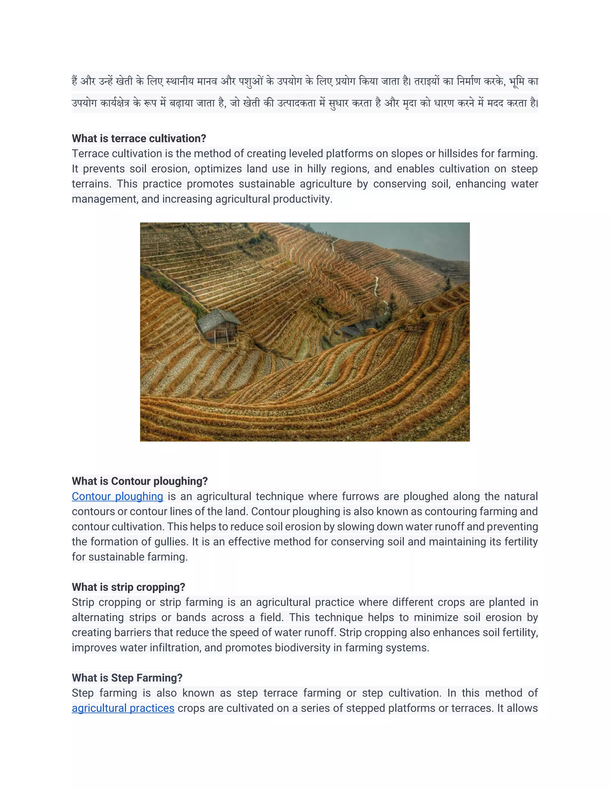 What is Terrace Farming.pdf