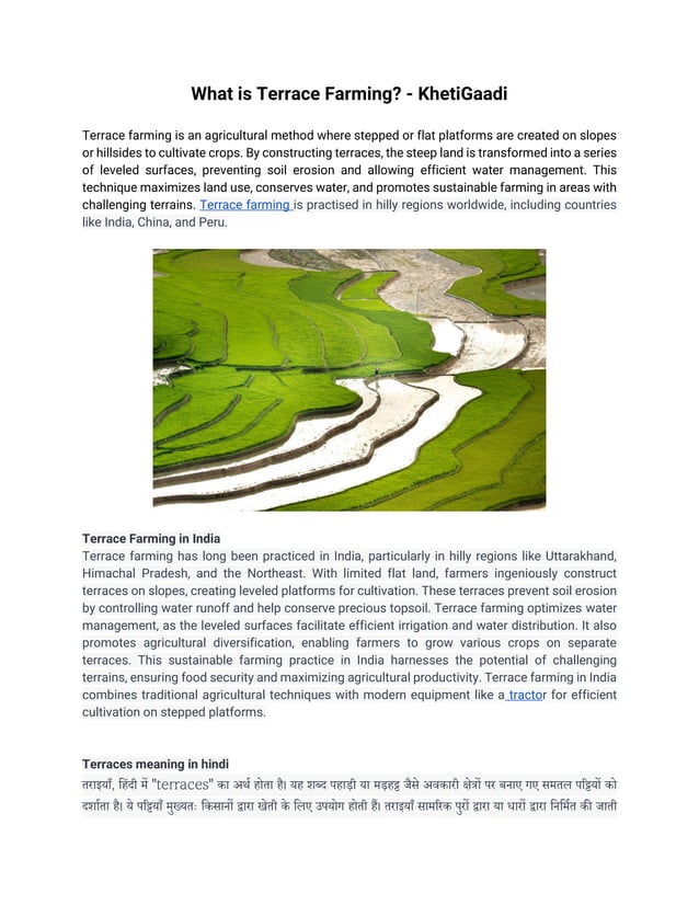 What is Terrace Farming.pdf