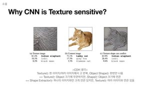 What is Texture.pdf