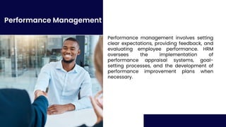 What is the 7 basic human resource management | PPT