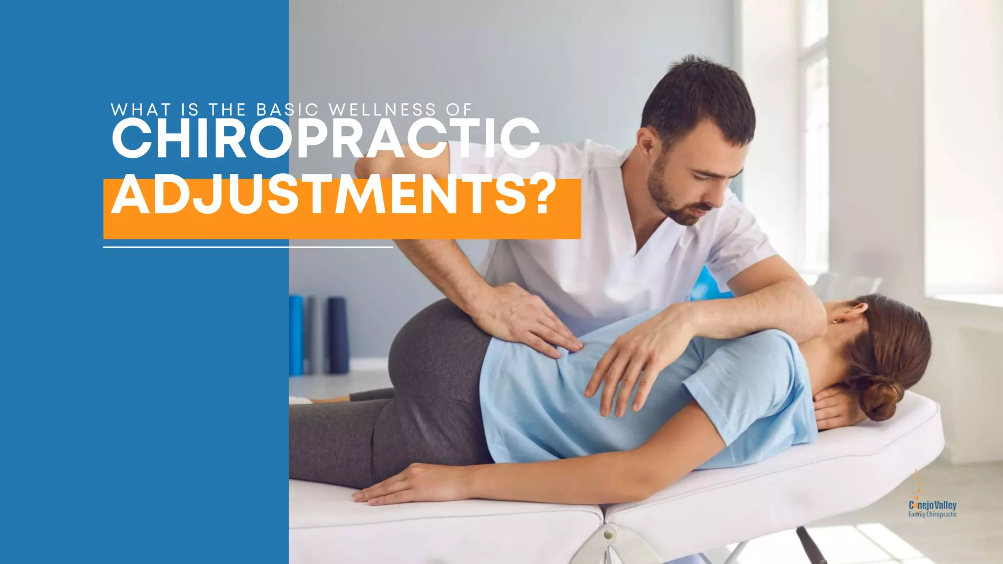 What is the Basic Wellness of Chiropractic Adjustments | PPTX | Physical Therapy | Wellness