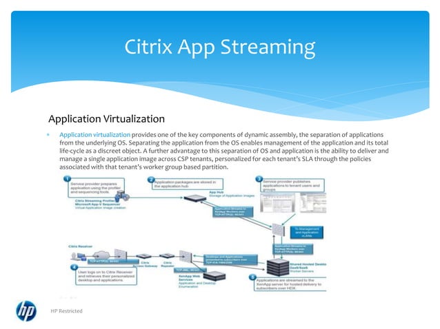 What is the Citrix?