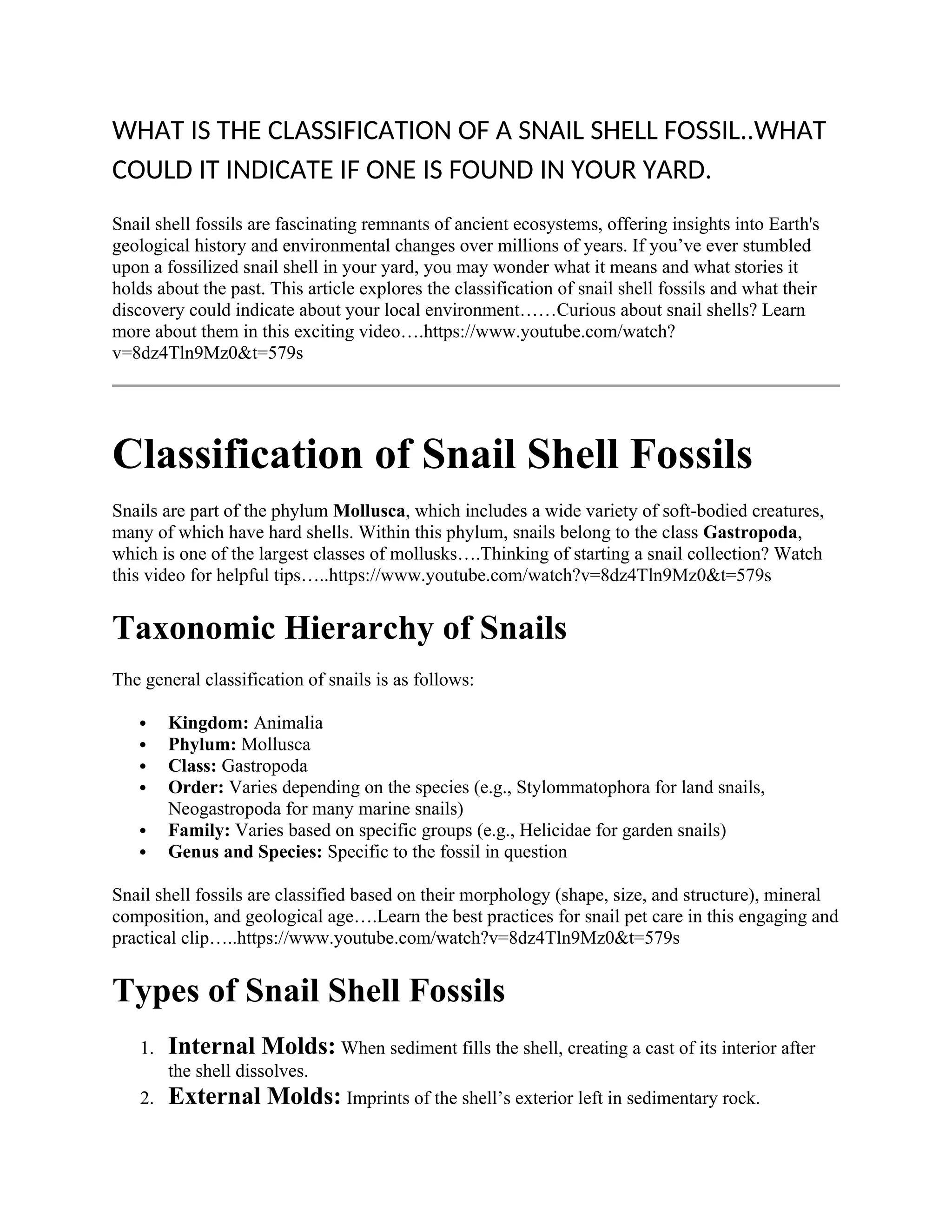 WHAT IS THE CLASSIFICATION OF A SNAIL SHELL FOSSIL. WHAT COULD IT ...