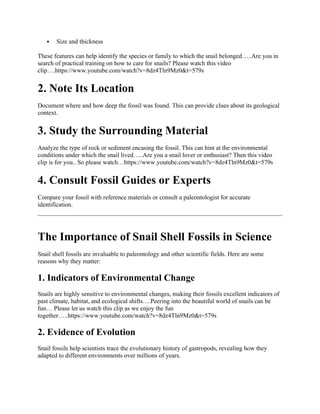 WHAT IS THE CLASSIFICATION OF A SNAIL SHELL FOSSIL. WHAT COULD IT ...