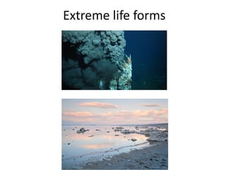 What is the definition of life | PPT