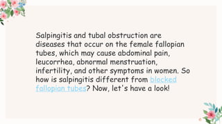 What is the Difference between Salpingitis and Blocked Fallopian Tubes ...