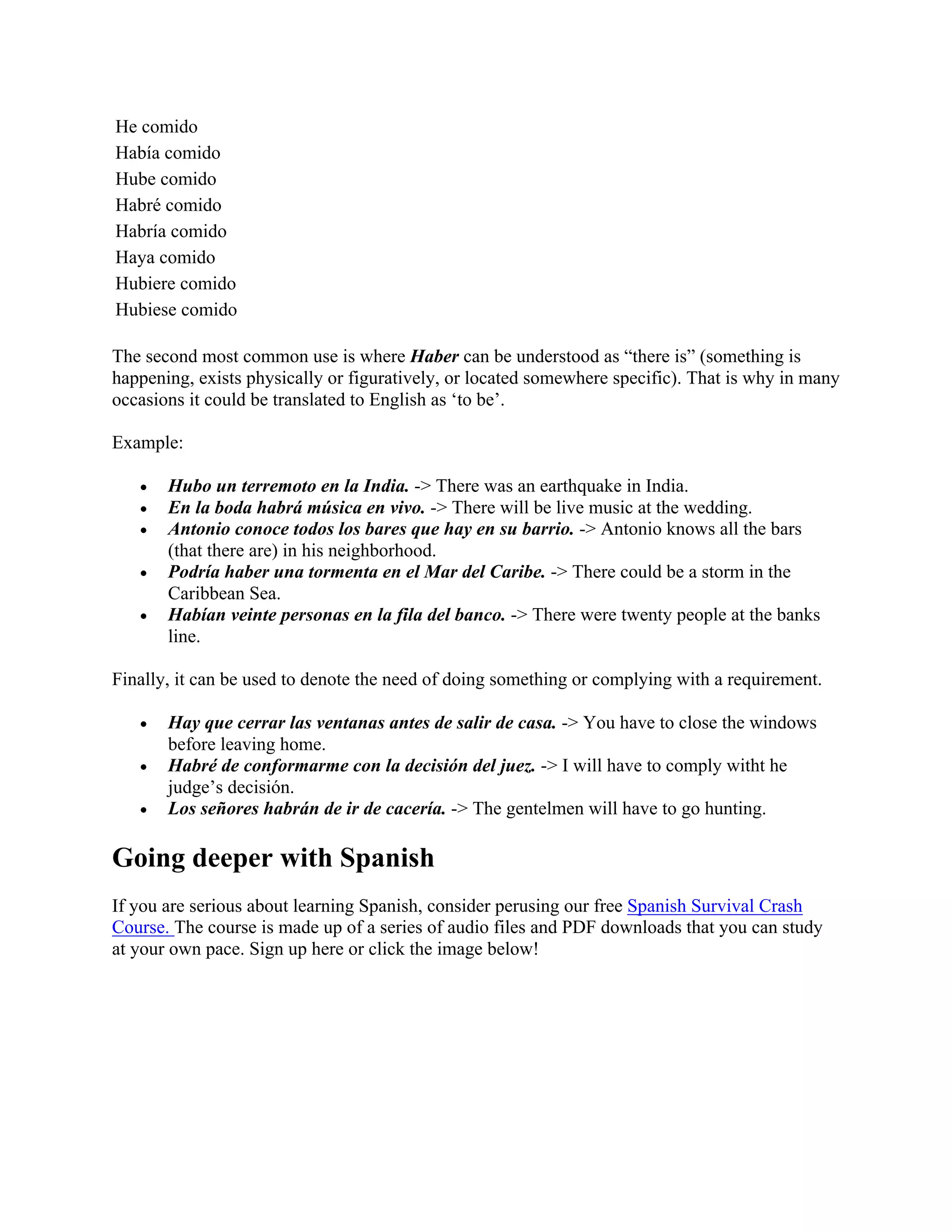 What Is The Difference Between Tener and Haber | PDF