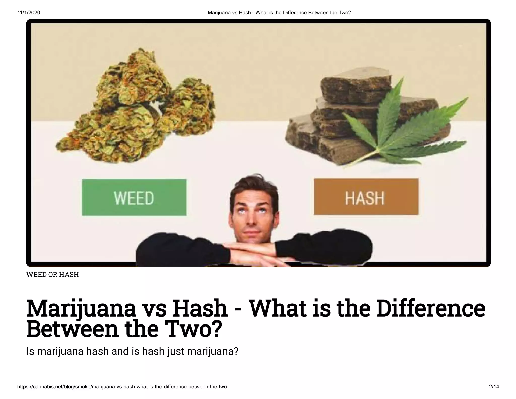 What is the Difference Between Hashish and Marijuana? | PPT