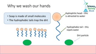 What is the environmental impact of hand washing? | PPT