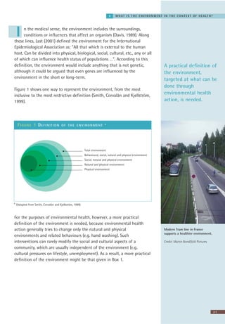 What is the environment in the context of health | PDF