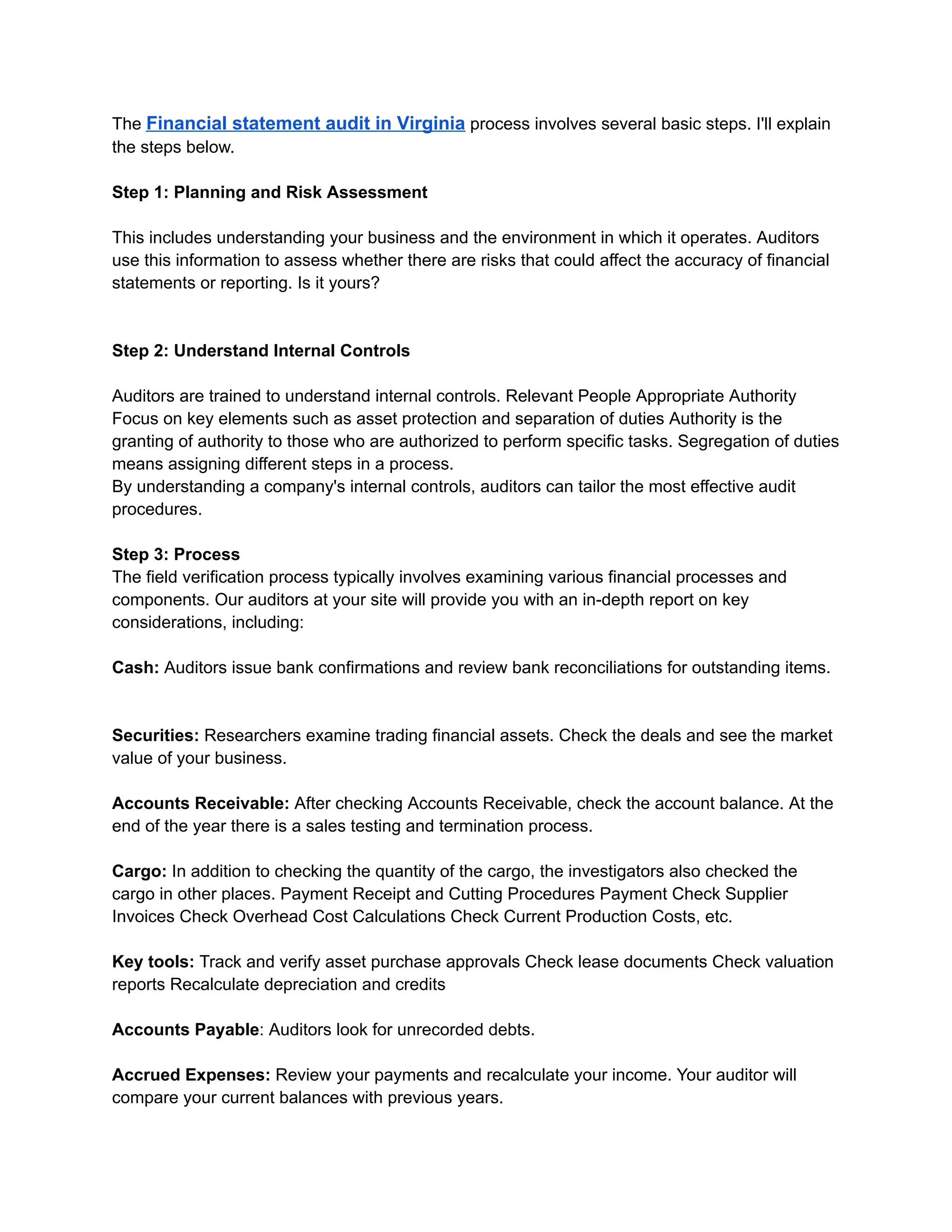 What is the Financial Statement Audit Process.pdf