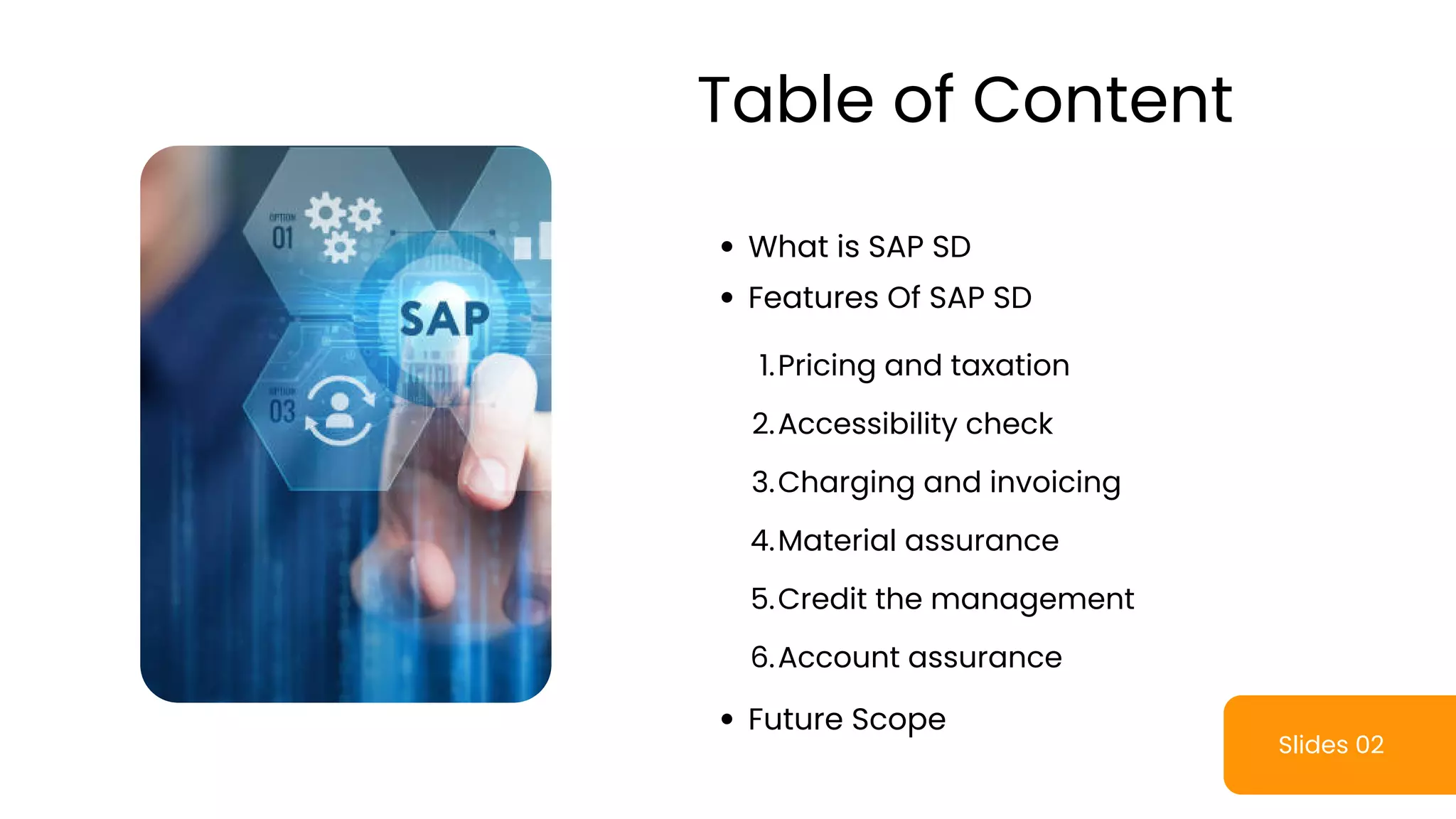 What is the Future Scope of SAP SD | PDF | Business | Business and Finance
