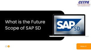What is the Future Scope of SAP SD | PDF
