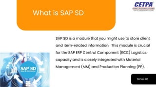 What is the Future Scope of SAP SD | PDF | Business | Business and Finance