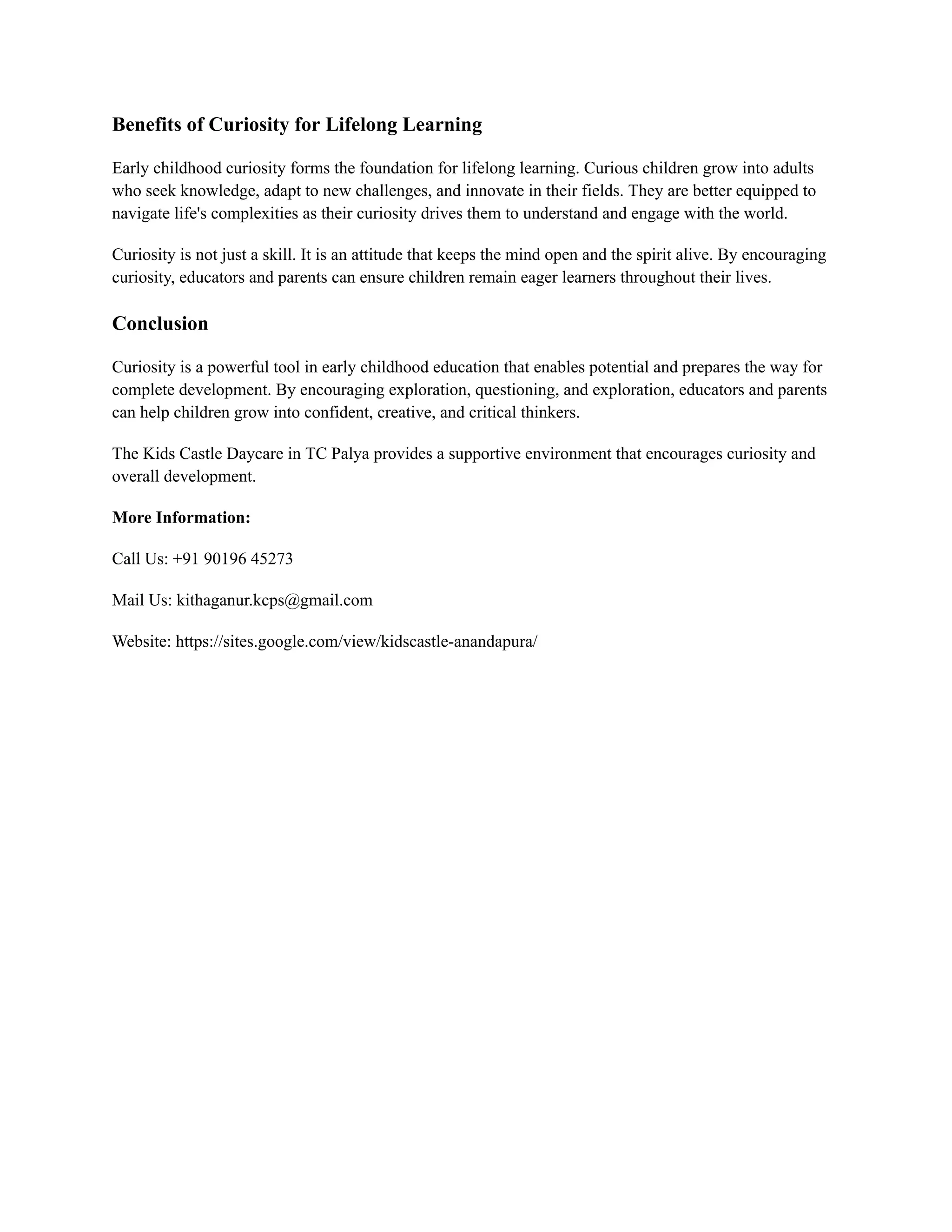 What Is the Importance of Curiosity in Early Childhood Education.pdf