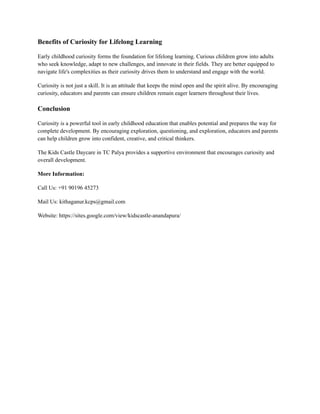 What Is the Importance of Curiosity in Early Childhood Education.pdf