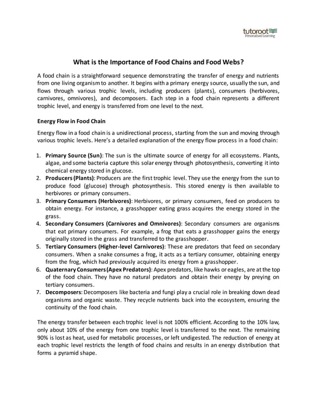 What is the Importance of Food Chains and Food Webs? | PDF