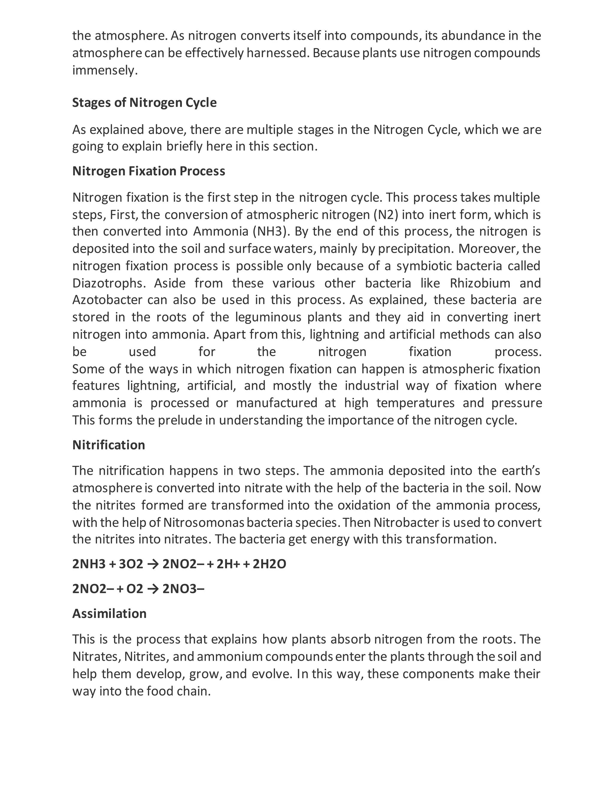 What is the Importance of Nitrogen Cycle? | PDF