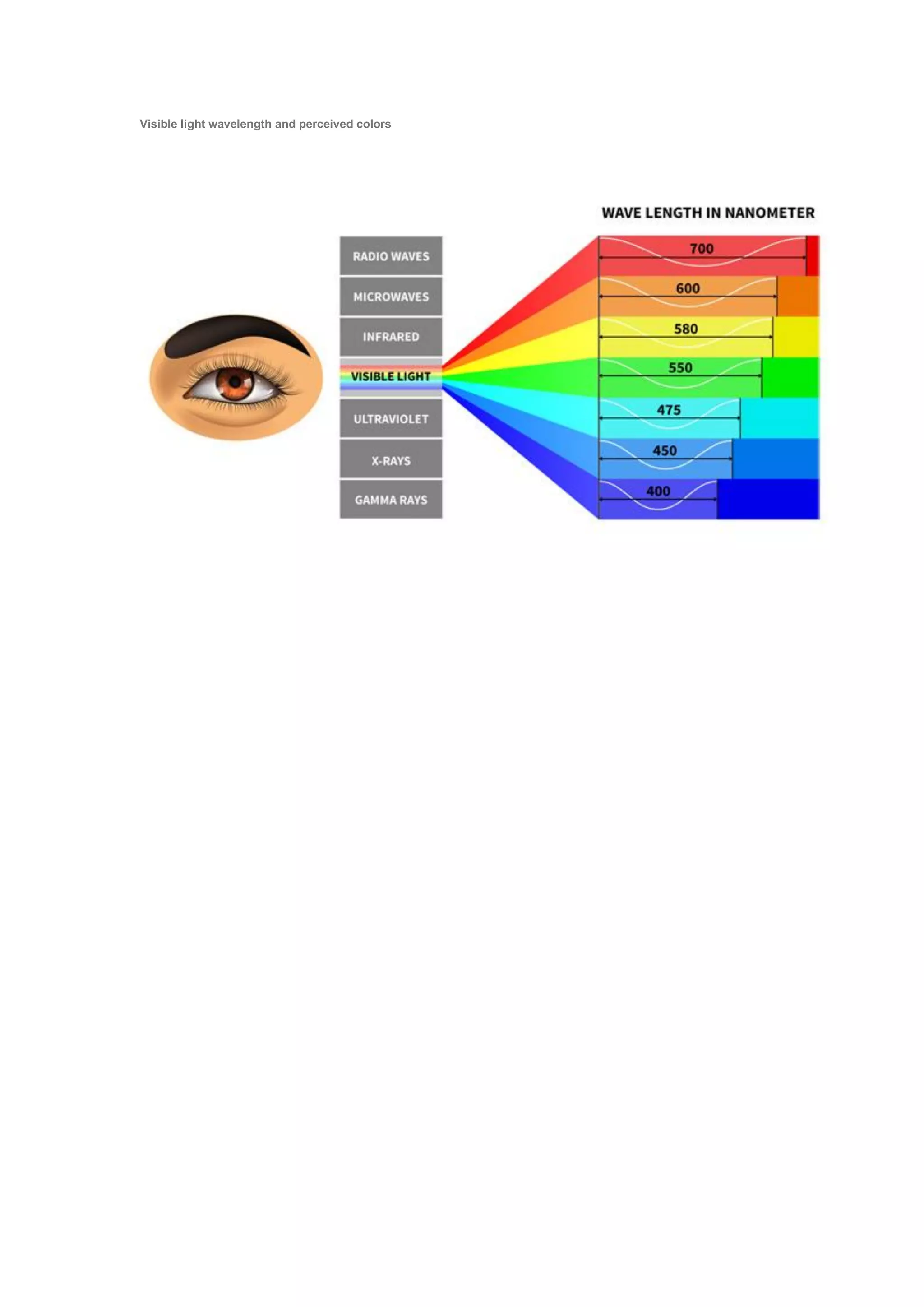 What is the light spectrum of different visible light sources | PDF