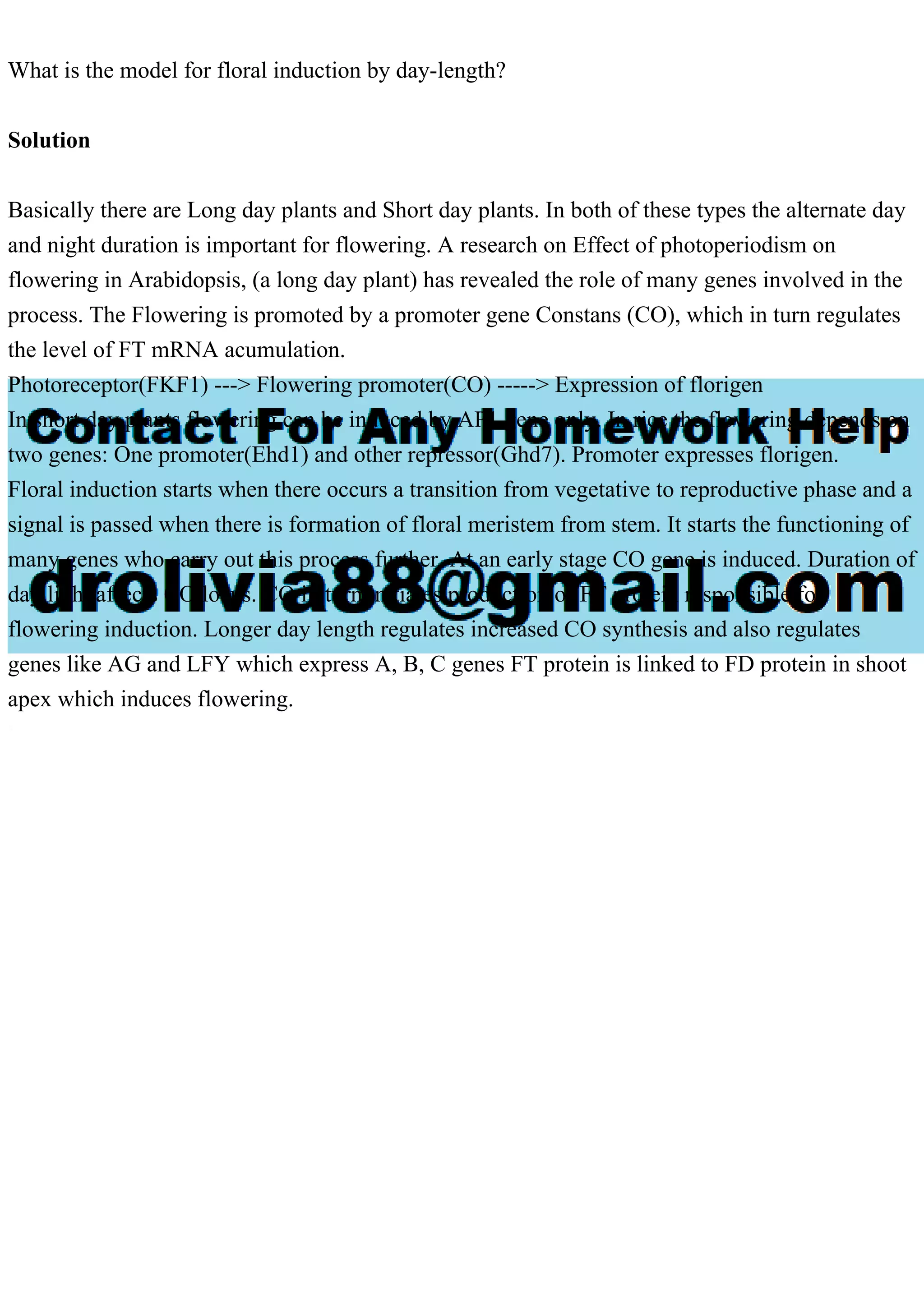 What is the model for floral induction by day-lengthSolutionB.pdf